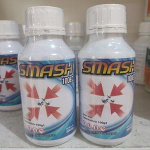 Jual AMPUH obat fogging smash 100 ec untuk hama nyamuk dan kecoa - Kota ...