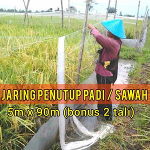 Jual Mur4h!! JARING PADI / JARING EMPRIT / JARING PIPIT / JARING BURUNG ...