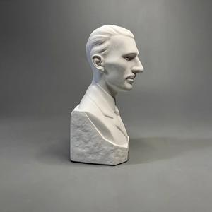 Jual Nikola Tesla Physicist Model Plaster Sculpture Bust Bookcase ...