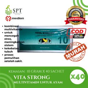 Jual VITA STRONG 10 GRAM X 30 SACHET KEMASAN 1 DUS MULTIVITAMIN UNTUK ...