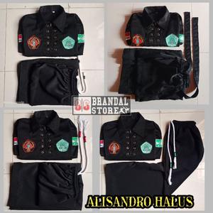 Jual Sakral/Seragam Pencak Silat Pagar Nusa Resleting (Ring Besar)(Cod ...
