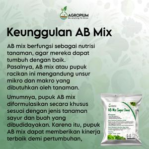 Jual AB mix hidroponik sayur daun 1 liter pekatan untuk 200 liter air ...