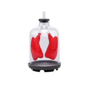 Jual Lung Respiration Model Pulmonary Respiratory Model Human ...