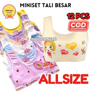 Jual Paket 12 PCS Miniset Anak Premium Quality DOREMI Sd Smp Motif ...
