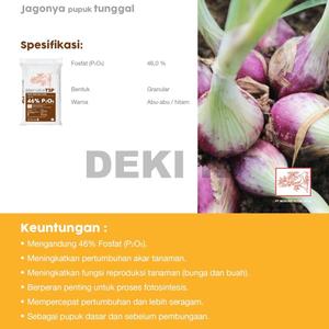 Jual RICH. Pupuk TSP Meroke Kemasan Repack Fosfat SP Pospat Pembenah ...