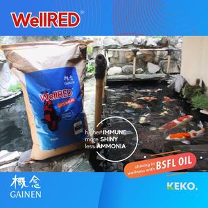 Jual Pelet Pakan Ikan Koi Untuk Pertumbuhan Dan Warna Meningkatkan ...