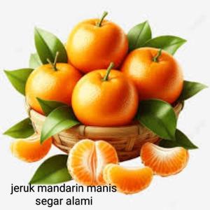 Jual Jeruk Mandarin Wokam Wokkam Wo kam Wogan Fresh Alami Segar Manis ...