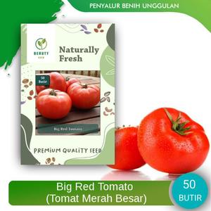 Jual 50 Benih Biji Bibit Tomat Merah Besar - Big Red Tomato Seed - Kab ...