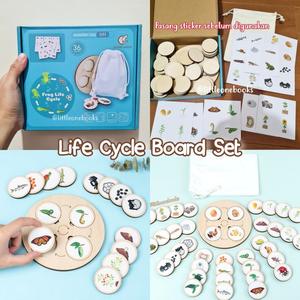 Jual Life Cycle Board / Mainan Edukasi Anak Belajar Siklus Hidup Hewan ...