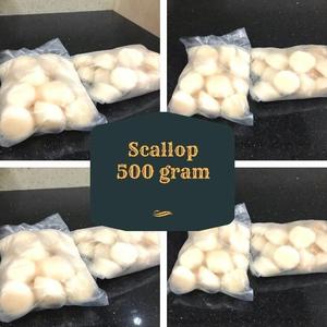 Jual Scallop us shell off 500 gram / kerang laut / kerang kampak ...
