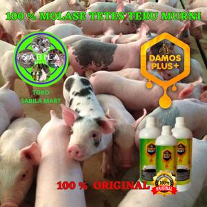 Jual DAMOS PLUS OBAT PENGGEMUK BABI | OBAT CACING BABI, SUPLEMEN ...