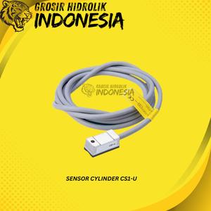 Jual CS1-U PNEUMATIC SENSOR CYLINDER MAGNETIC REED SWITCH TYPE CS1-U ...