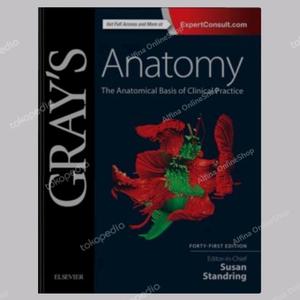 Jual Buku Gray's Anatomy: The Anatomical Basis of Clinical Practice ...