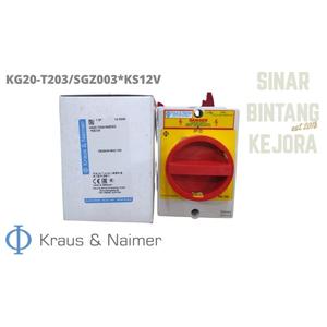 Jual KRAUS & NAIMER LOAD BRESK SWITCH THERMOPLASTI (KG20-T204/SGZ003*K ...