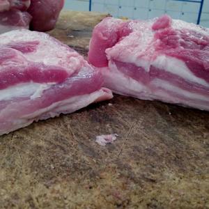 Jual H02 Daging Babi Sancam (Pork Belly) - Jakarta Utara - mistriah112 ...