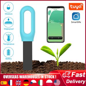 Jual Tuya BT 2 In 1 Meteran Kelembapan Tanah Nirkabel Pengukur ...