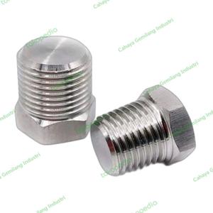 Jual Hex plug class 3000 stainless SS316 drat 3/4"inch NPT SS 316#3000 ...