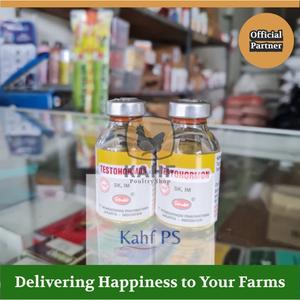 Jual Testohormon Wonder 20 ml Hormon Reproduksi Injeksi Hewan Jantan ...