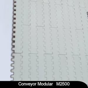 Jual Modular Conveyor M2520 * L.800mm * P.5000mm - Kota Surabaya ...