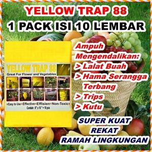 Jual Yellow Trap Perangkap Hama Lem Perekat Lalat Buah Likat Kuning ...