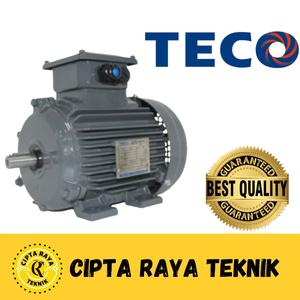 Jual DINAMO ELECTRIC MOTOR TECO AESV1S IE1 4P 132KW 175HP 3PHASE 380V B3 - Kota Surabaya - CIPTA ...
