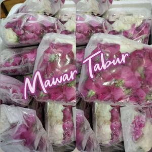 Jual Bunga Mawar i, mawar tabur kampung mawar pink-putih harum dan ...