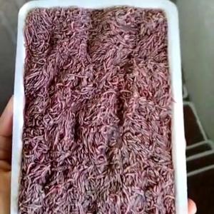 Jual Cacing Beku Tray Merk Happy Isi 1 KG ( 10 Tray 100 Gram ) - Kota ...