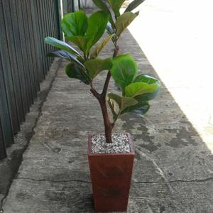 Jual New Pohon Ketapang Artificial Bunga Plastik - Jakarta Pusat ...