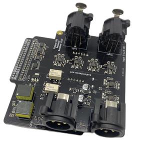 Jual Audio Injector Balanced XLR Preamplifier sound card for Raspberry Pi T HIFI DAC Audio Card ...