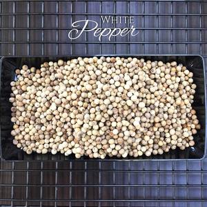 Jual Reidi Lada Putih / Lada Putih Butir / Merica / Lada Putih Mentah ...