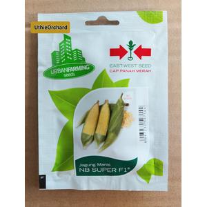 Jual Benih Panah Merah – Jagung Manis NB Super F1 - Kota Tangerang ...