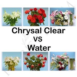 Jual 100ML Pengawet Bunga Tanaman/Flower Preservative/Flower Nutrient ...