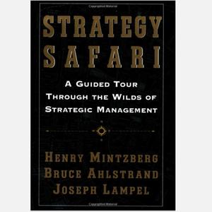 Jual BUKU Strategy Safari: A Guided Tour Through The Wilds of Strategic ...