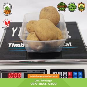 Jual xux. Kentang Dieng Ukuran Jumbo per 1000 gram (1Kg) - Kota Depok ...