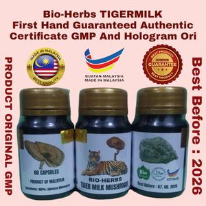 Jual PURE BIO HERBS CENDAWA SUSU HARIMAU TIGERMILK MUSHROOM CAPSULES ...