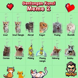 Jual Gantungan Kunci Meme Kucing Akrilik / Acrylic KeyChain Lucu Cat ...