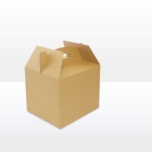 Jual Kardus Box Parcel Jinjing Kotak Packaging Dus Karton Hampers ...