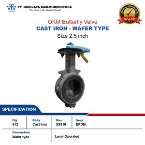 Jual OKM Butterfly valve Cast Iron EPDM Disc SS316 Wafer type - 2.5 ...