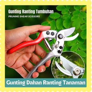 Jual Gunting Dahan Ranting Kayu Batang Tanaman Desain Ergonomis ...