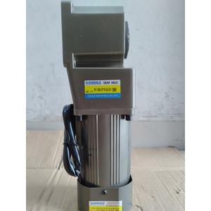 Jual AC motor right angle gearbox HOULE 220V 40W Speed Control 1 Phase ...