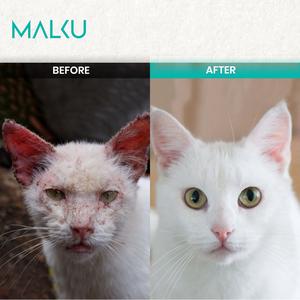 Jual Malku Fungal Cure - Solusi Kucing Jamuran, Ringworm Dan Scabies ...