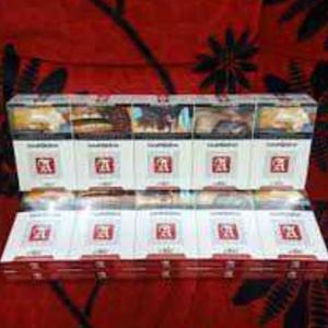 Jual Sale Rokok Sampoerna Mild Isi 16 Batang 1 Slop / 10 Bungkus Ready ...