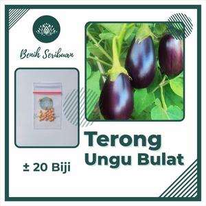Jual 20 Benih Terong Ungu Bulat Bibit Sayur Sayuran Terong Pondoh Telur ...
