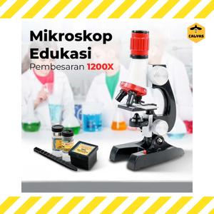 Jual Mikroskop Edukasi Pembesaran 1200X Magnification Microscope ...