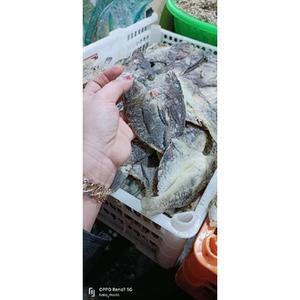 Jual Ikan Asin Jenis Ketambak 1Kg Grade A - Kota Surabaya - prabu ...