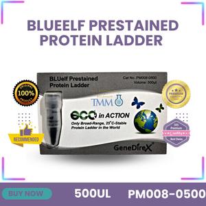 Jual BlueElf Prestained Protein Ladder, 3.5-245 kDa, 500 μl - Kab ...