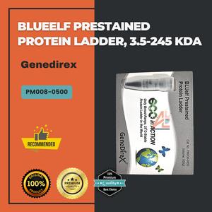 Jual BlueElf Prestained Protein Ladder, 3.5-245 kDa, 500 μl - Kab ...