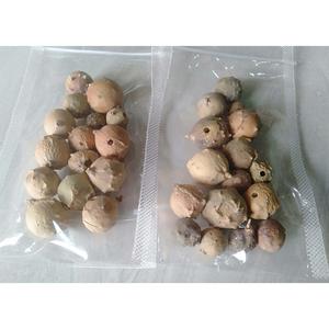 Jual BUAH/BIJI MANJAKANI 50GRAM ASLI KEMASAN STANDING POUCH TEBAL ...