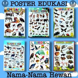 Jual POSTER EDUKASI ANAK BELAJAR NAMA-NAMA HEWAN ( Hewan Darat,Air ...