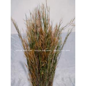 Jual FG - 1 IKAT RUMPUT JEPANG WARNA NATURAL - Hiasan Buket Bunga ...